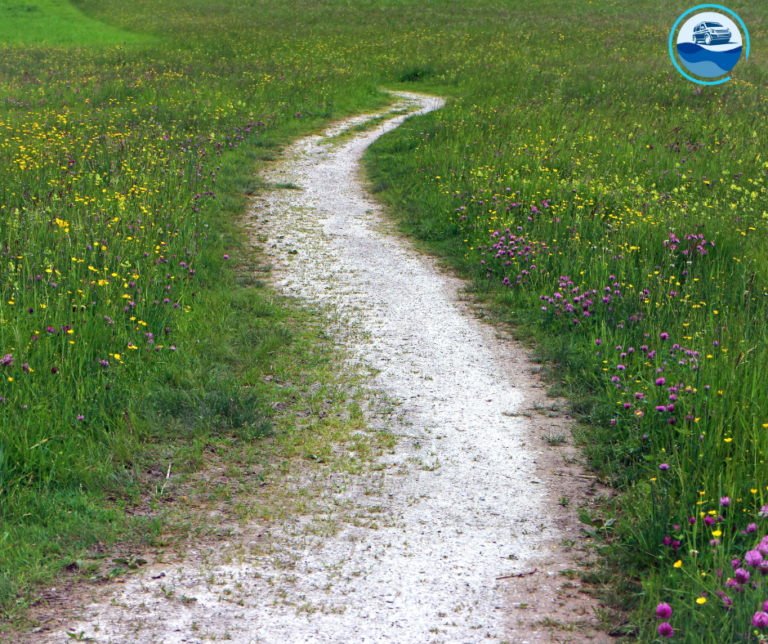 Discover Kings Canyon National Park like never before – your family’s ...